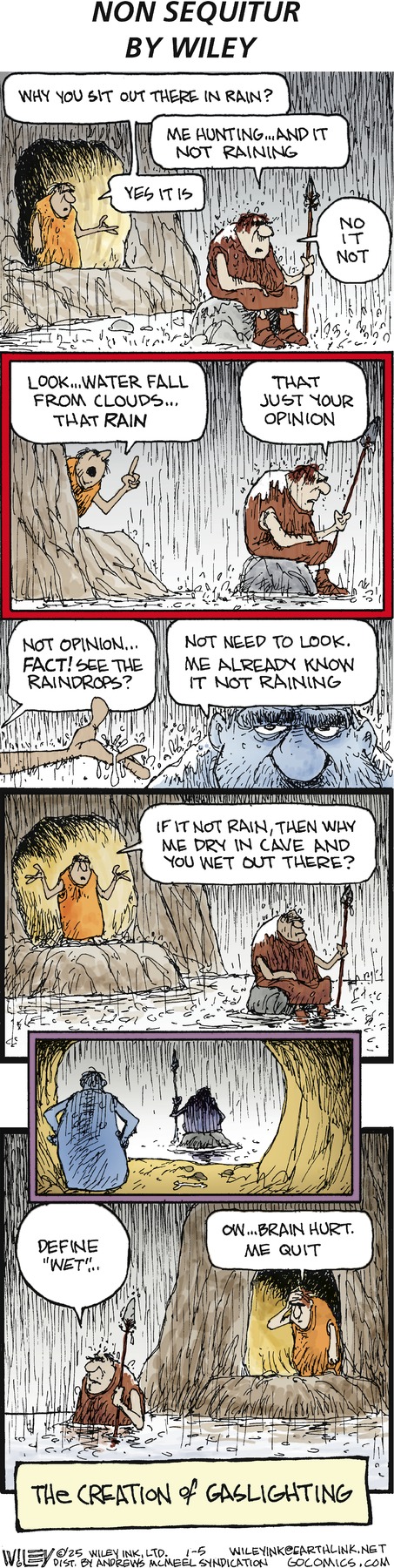 Non Sequitur by Wiley Miller for January 5, 2025 | GoComics
