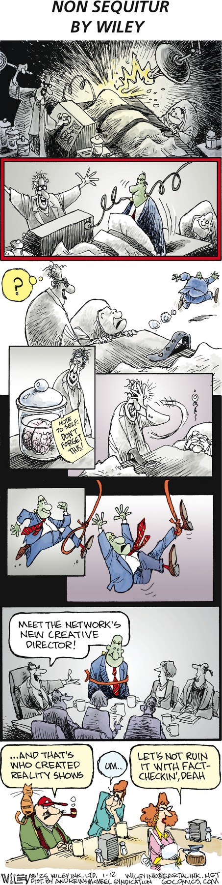 Non Sequitur by Wiley Miller for January 12, 2025 | GoComics