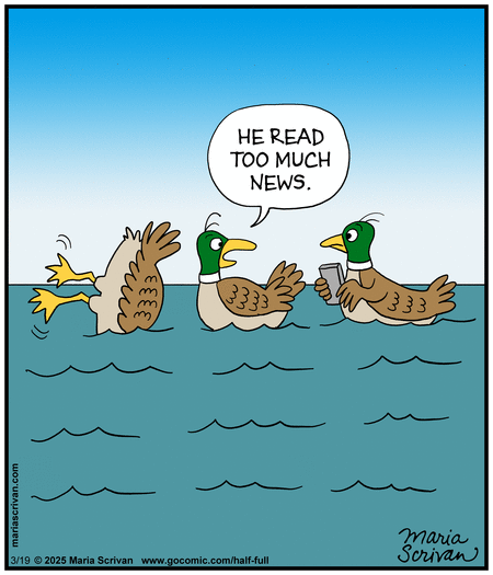 Half Full by Maria Scrivan for March 19, 2025 | GoComics