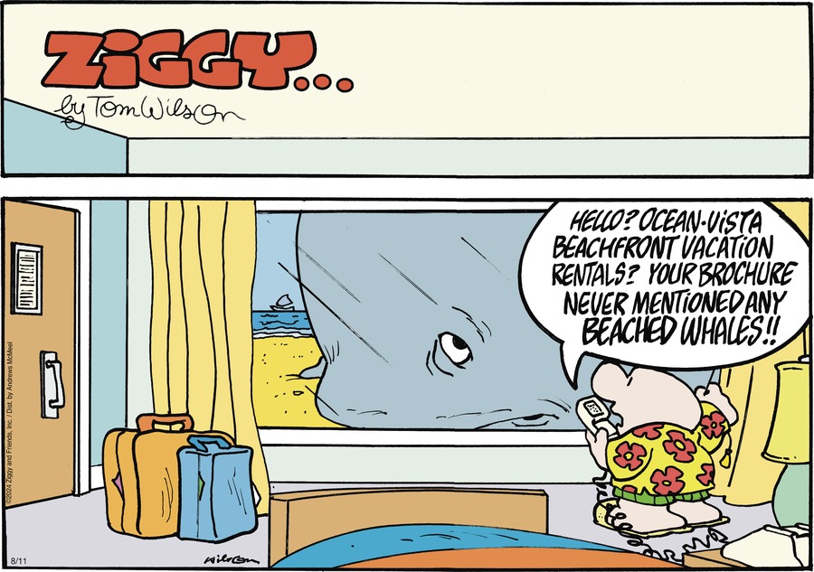 Ziggy by Tom Wilson & Tom II for August 11, 2024 | GoComics